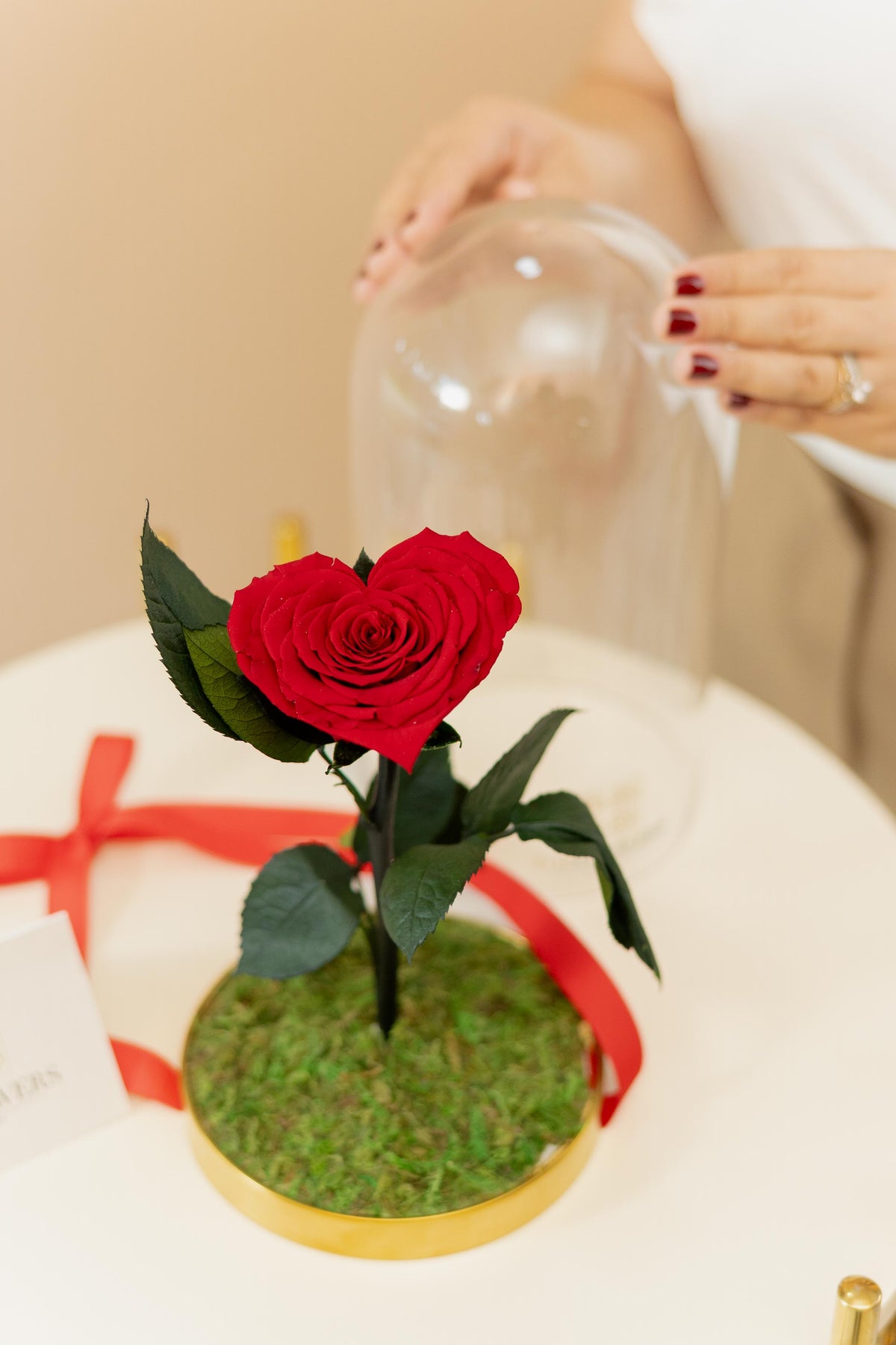 Beauty & the Beast (Heart) | Top Flowers