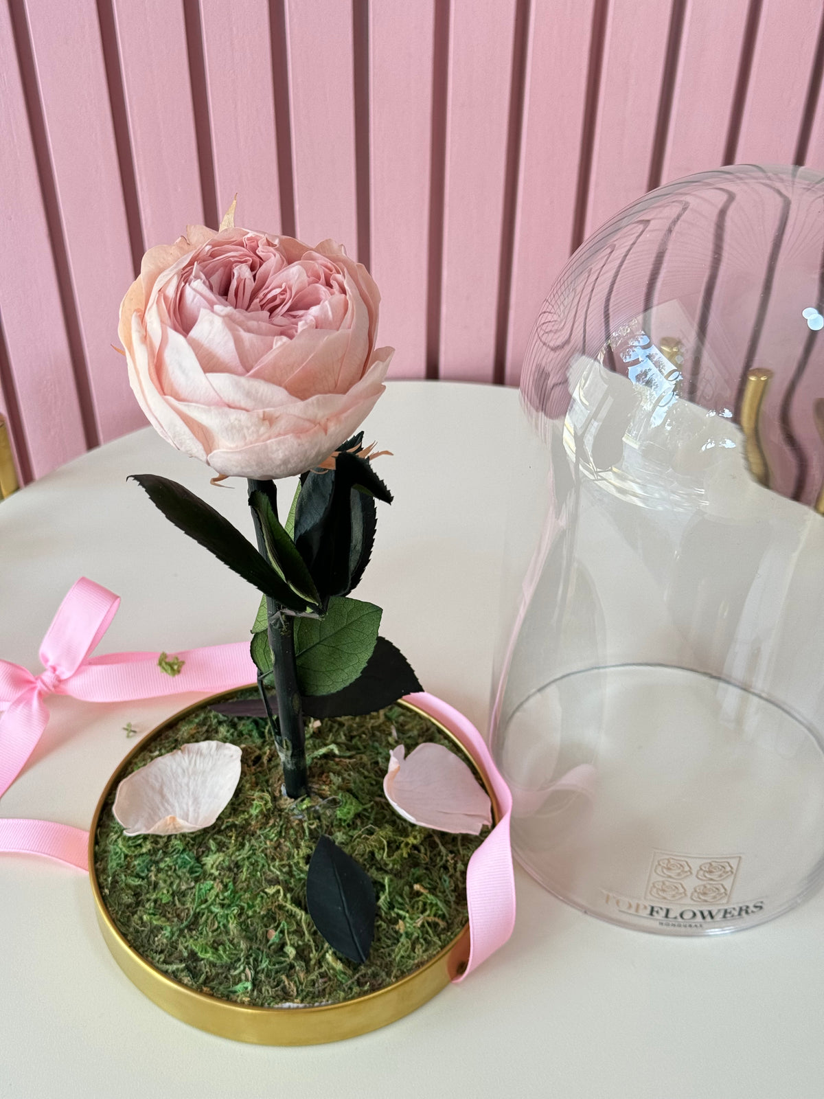 Preserved Peony in Glass Dome LL+ | Top Flowers