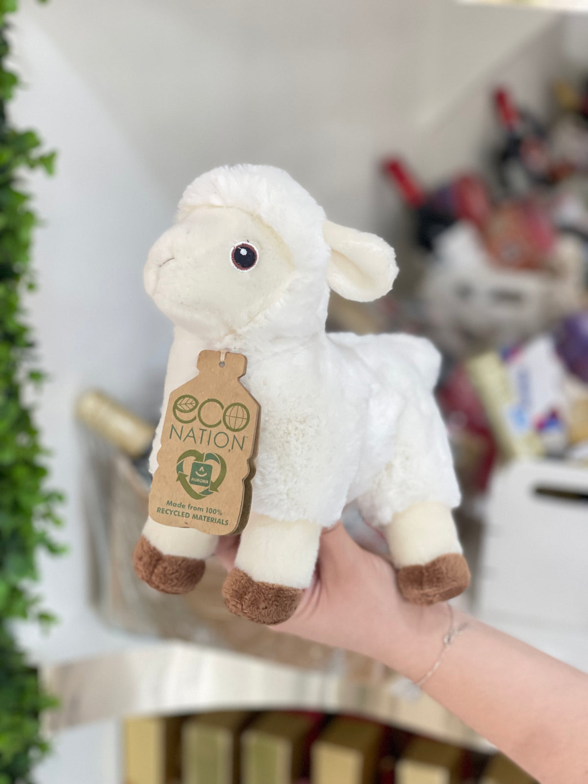 Lamb | Top Flowers