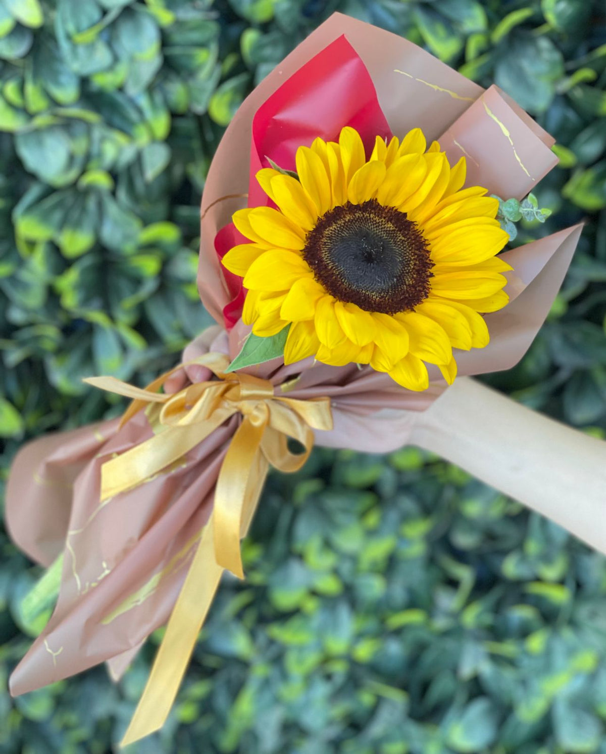 Sunflower Detail | Top Flowers