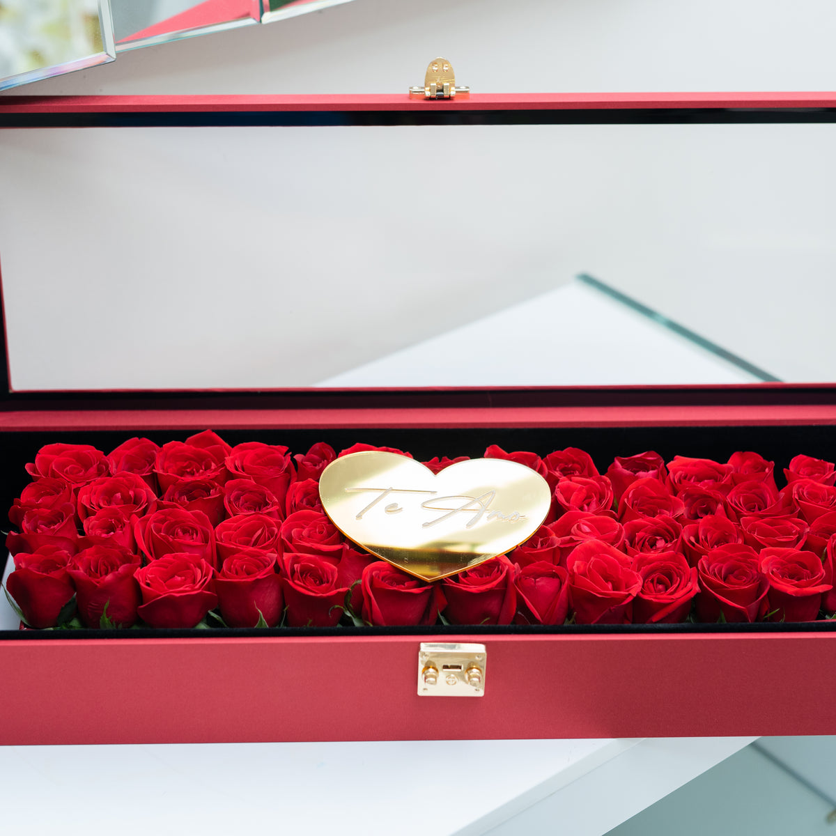 Roses Portfolio | Top Flowers